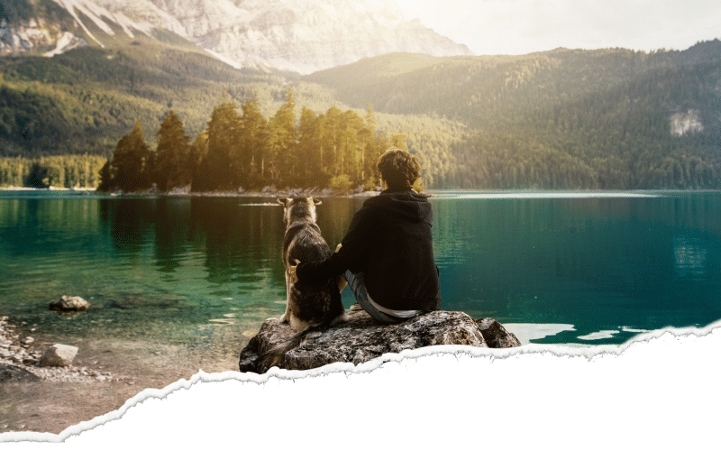 Veterinarian in Durango | Vet Near You | Alpine Animal Hospital